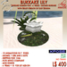 Second Life Marketplace - [AA] BUKKAKE LILY - 6SOMES FMMMMM - 7 POSES ...
